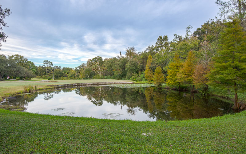 Photo Gallery - Temple Terrace Country Club